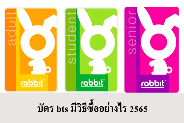 ทำความรู้จักกับบัตรโดยสาร bts และวิธีการใช้งานบัตรแรบบิท bts- bad-it ...